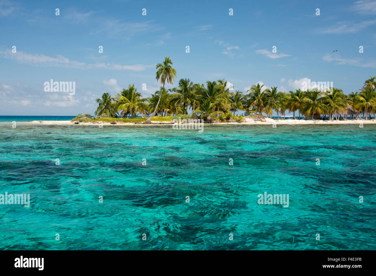 Belize, Stann Creek District near Placencia. Laughing Bird Caye ...