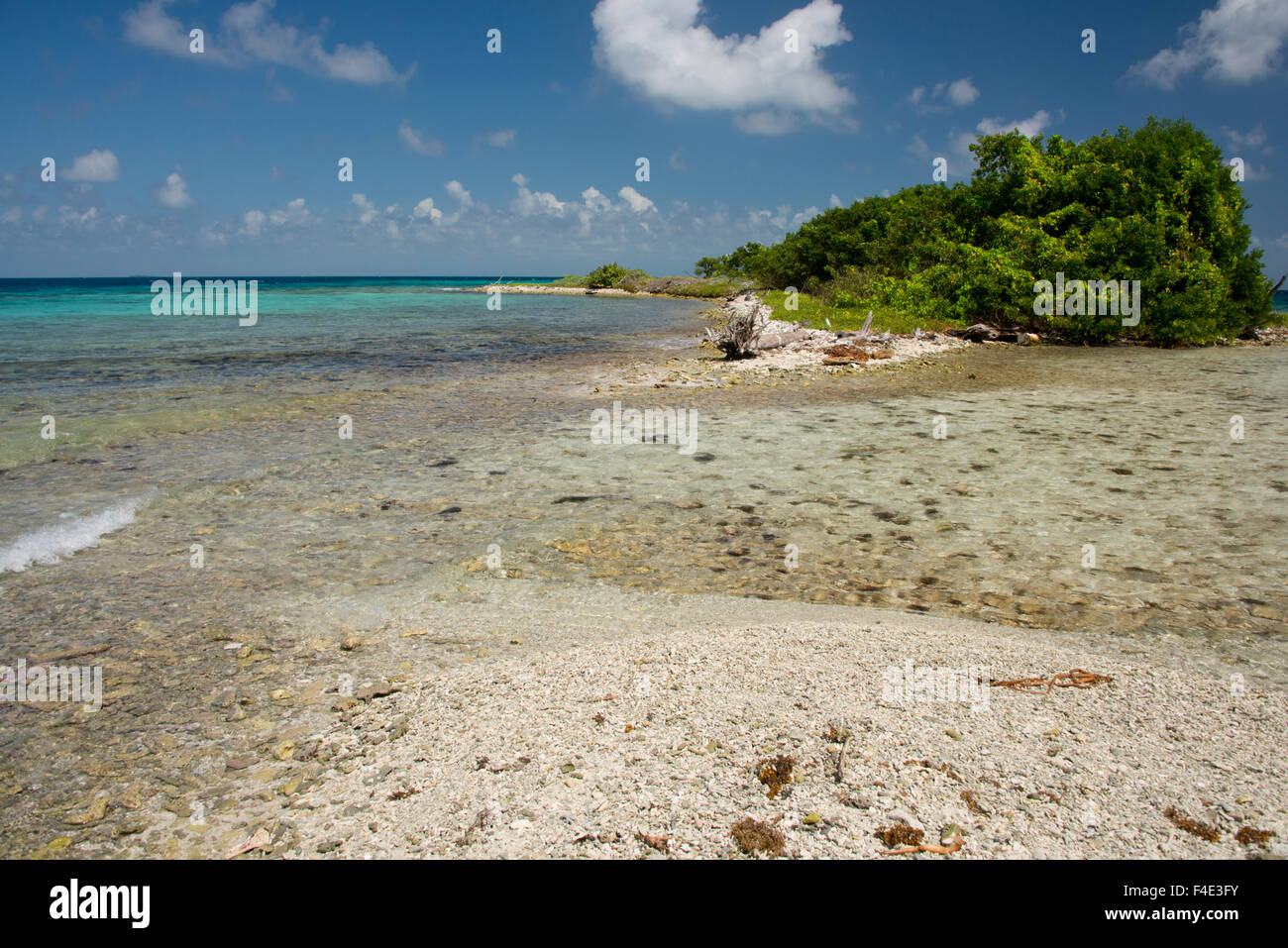 Belize, Stann Creek District near Placencia. Laughing Bird Caye ...
