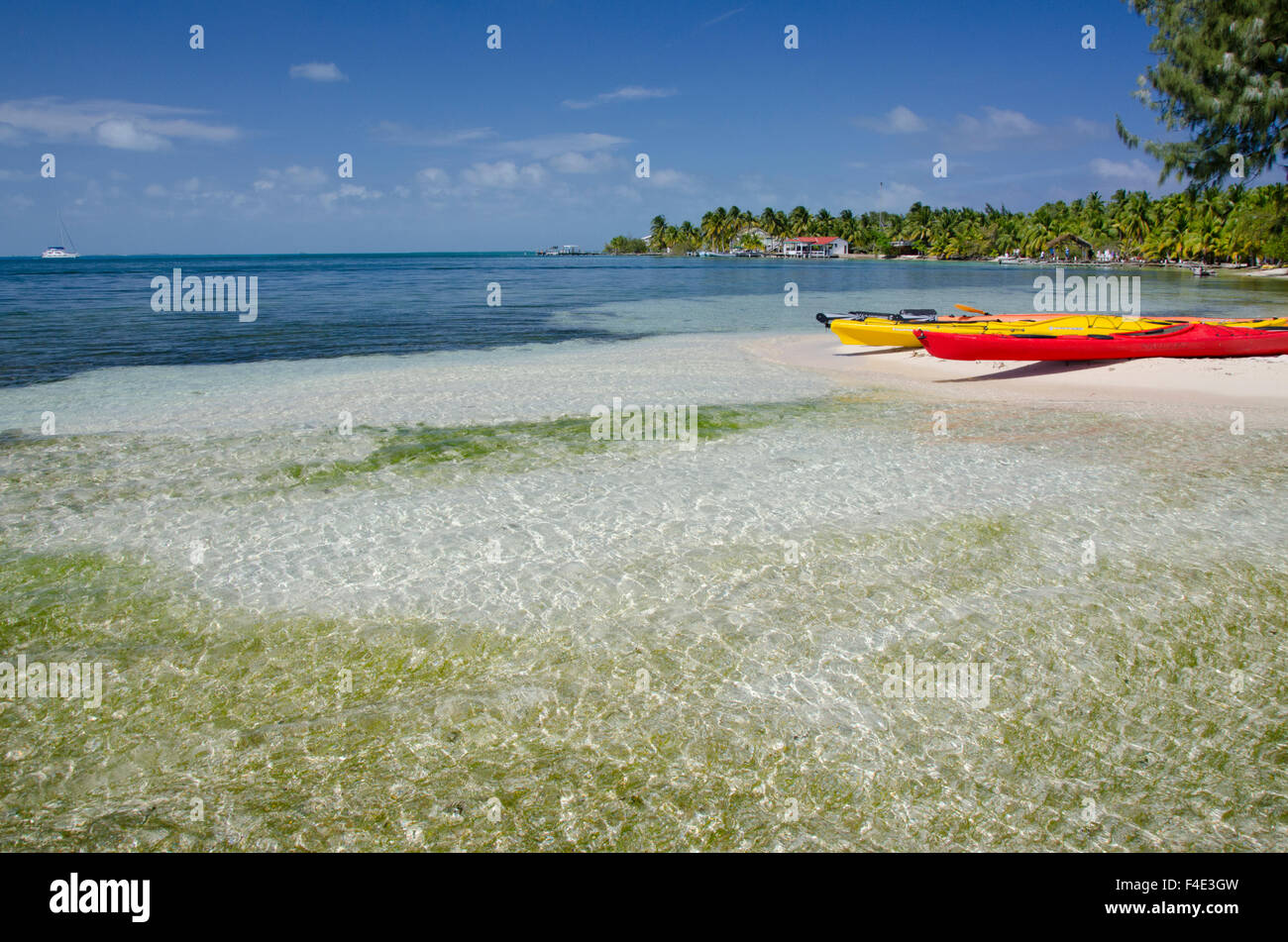 Belize, Stann Creek District, South Water Caye Marine Reserve (SWCMR ...