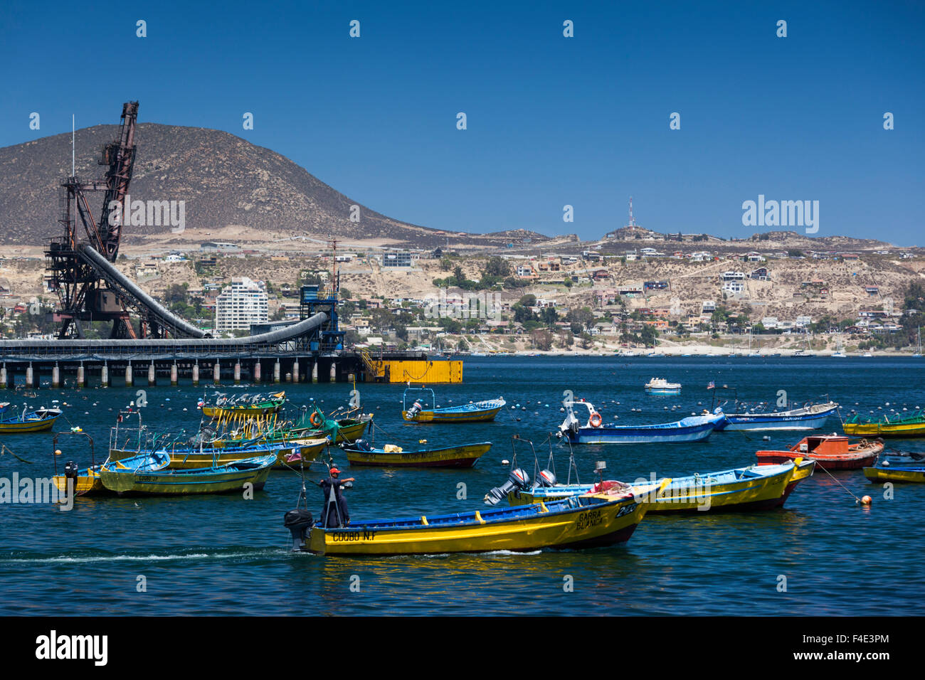 Guayacan chile hi-res stock photography and images - Alamy