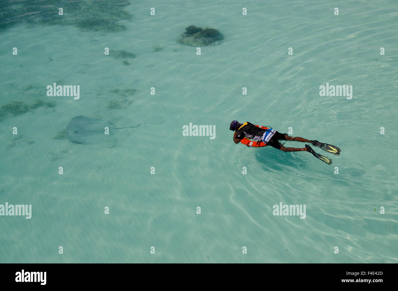 Belize, Toledo, The Cayes. West Snake Caye located in the Belize ...