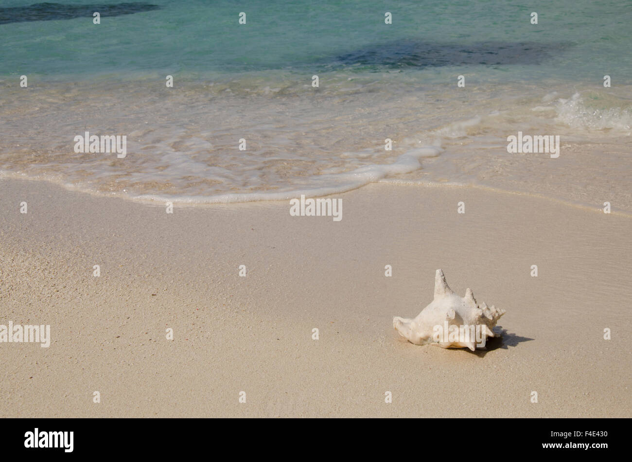 Belize. Goff Caye, a popular Barrier Reef island just offshore from ...