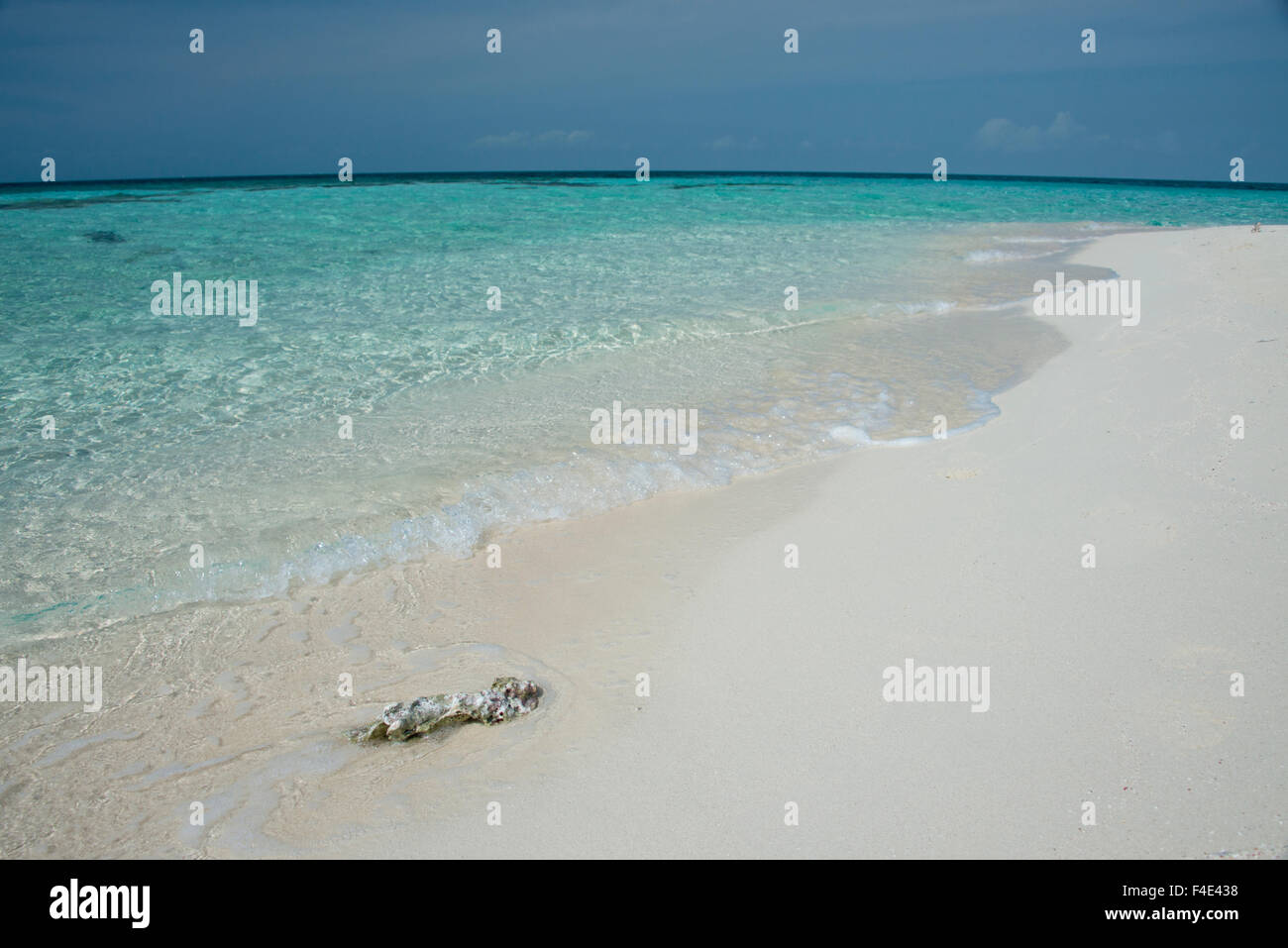 Belize. Goff Caye, a popular Barrier Reef island just offshore from ...