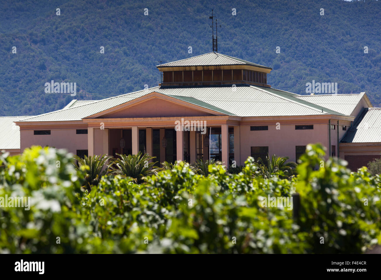 Chile, Casablanca, Vina Veramonte winery, main building Stock Photo - Alamy