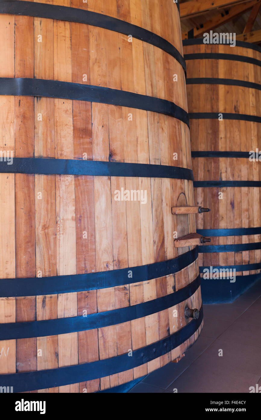 Chile, Casablanca, Vina Veramonte winery, aging casks Stock Photo - Alamy