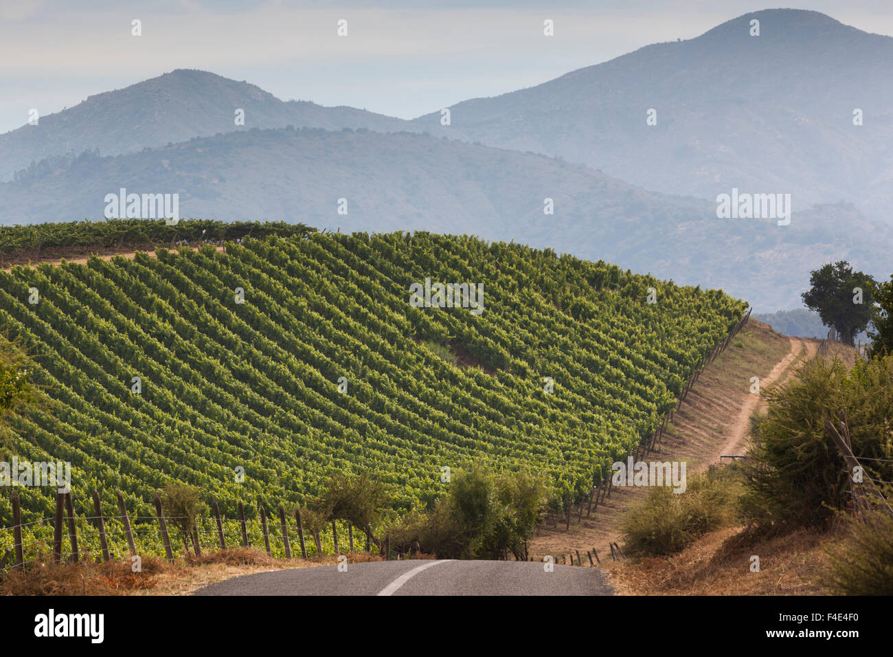 Matetic winery hi-res stock photography and images - Alamy
