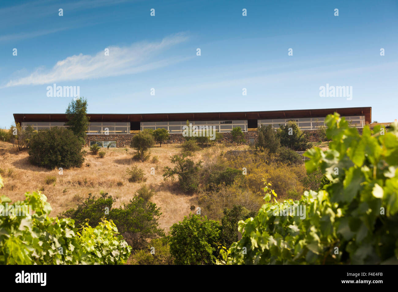 Matetic winery hi-res stock photography and images - Alamy