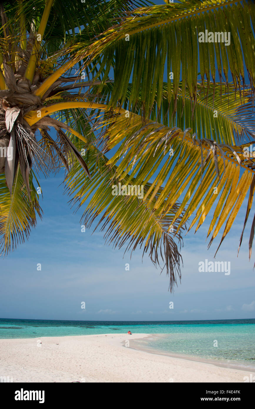 Belize, Caribbean Sea, District of Belize. Goff Caye, popular Barrier ...