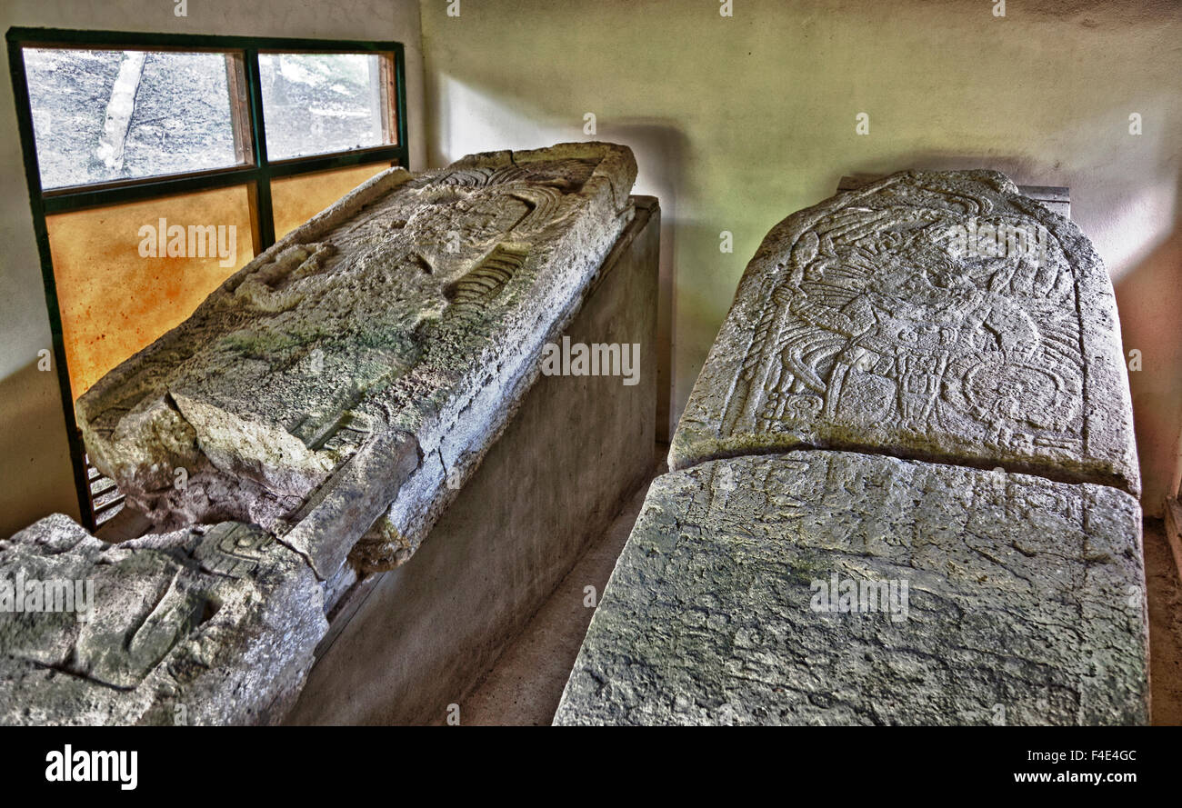 Mayan Stela at Xunantunich in the Cayo District Belize Stock Photo - Alamy