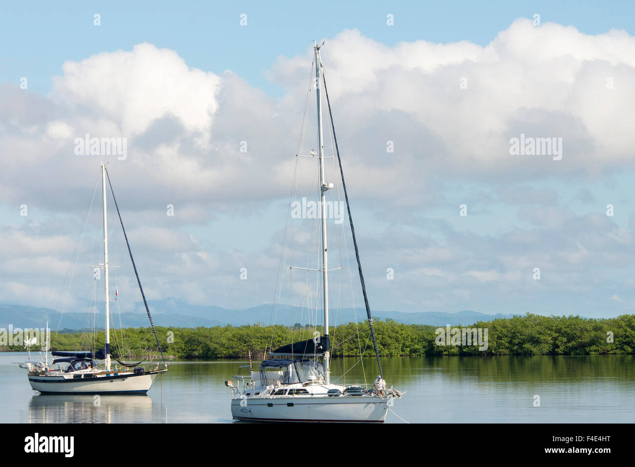 Placencia, Belize. Mangroves line channel. Maya Mountains on mainland ...