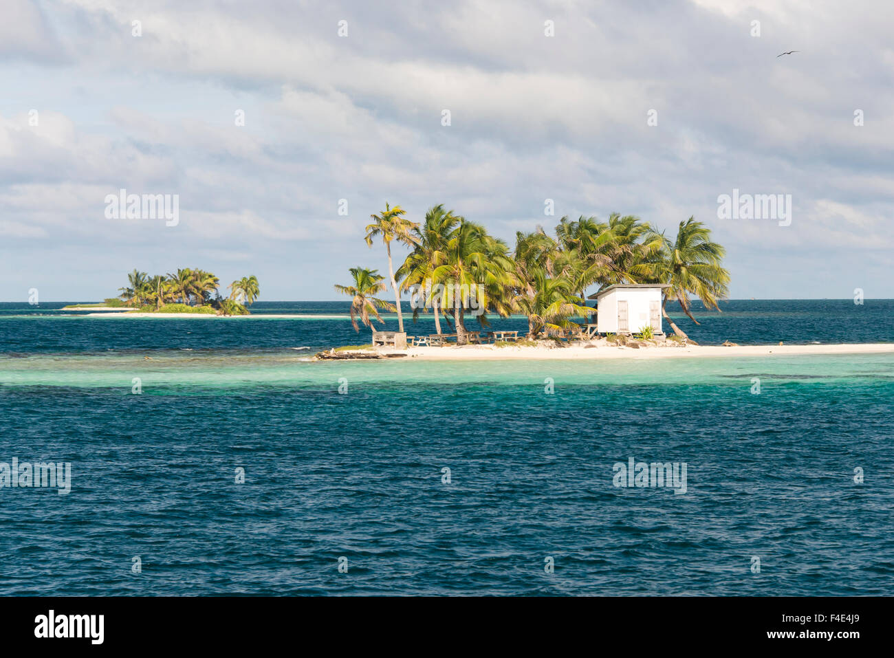 Placencia, Belize, Gladden Spit and Silk Cayes Marine Reserve. Three ...