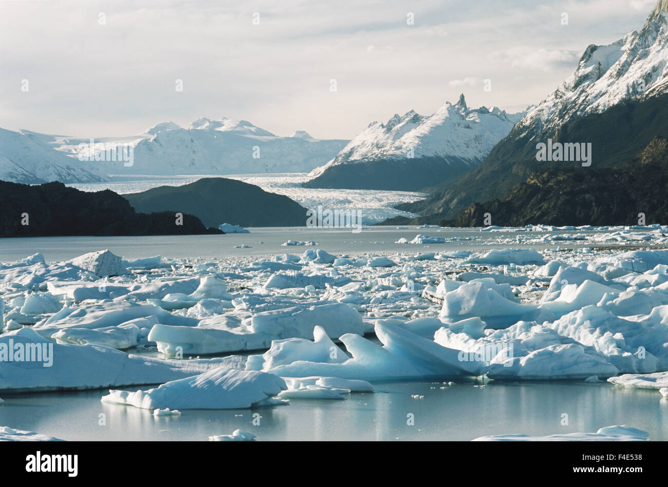Chile, Patagonia, Magallanes, Glacial Icebergs in Lake Grey, Torres del ...