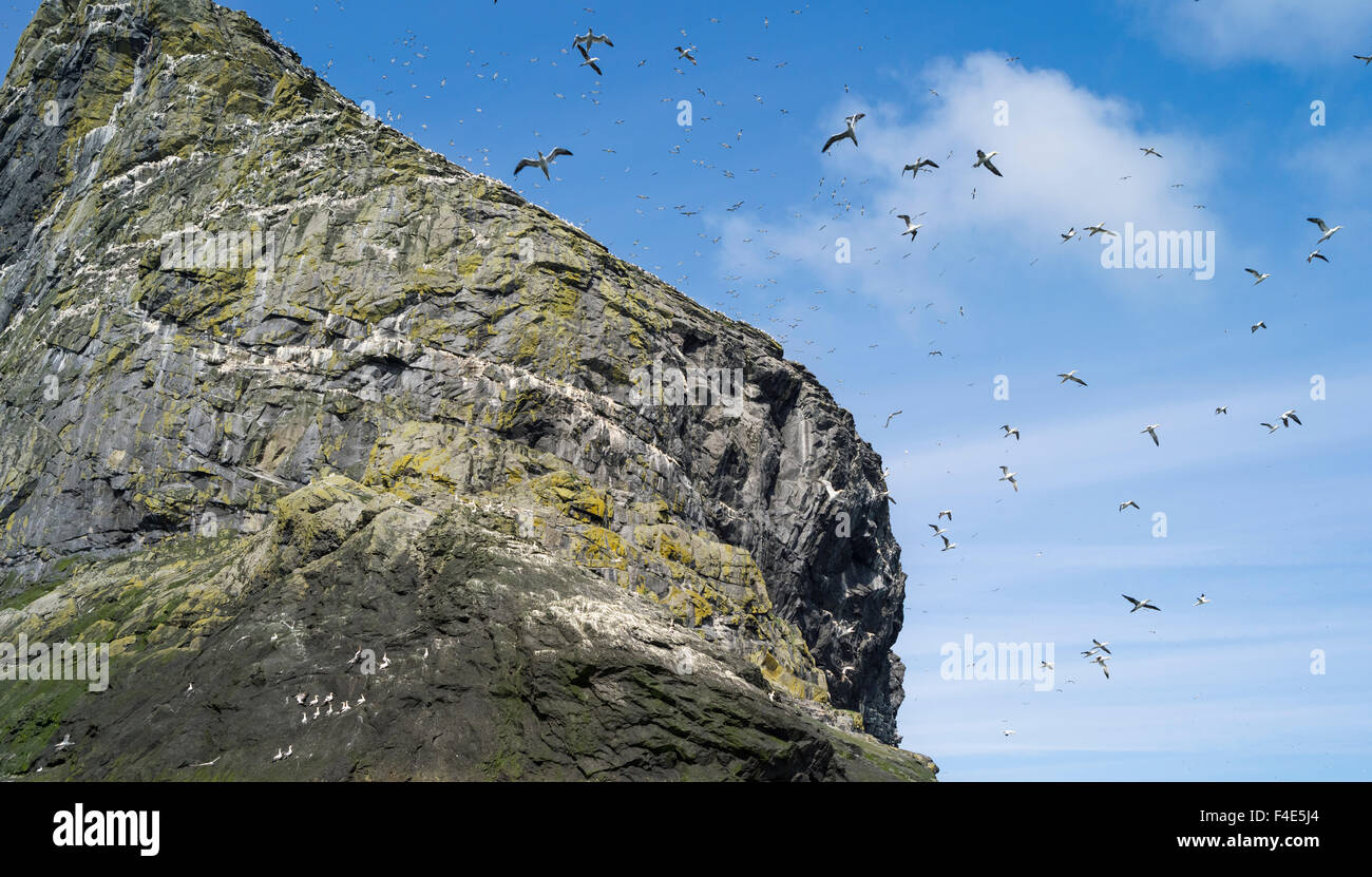 The islands of St Kilda archipelago in Scotland. Stac Lee having the ...