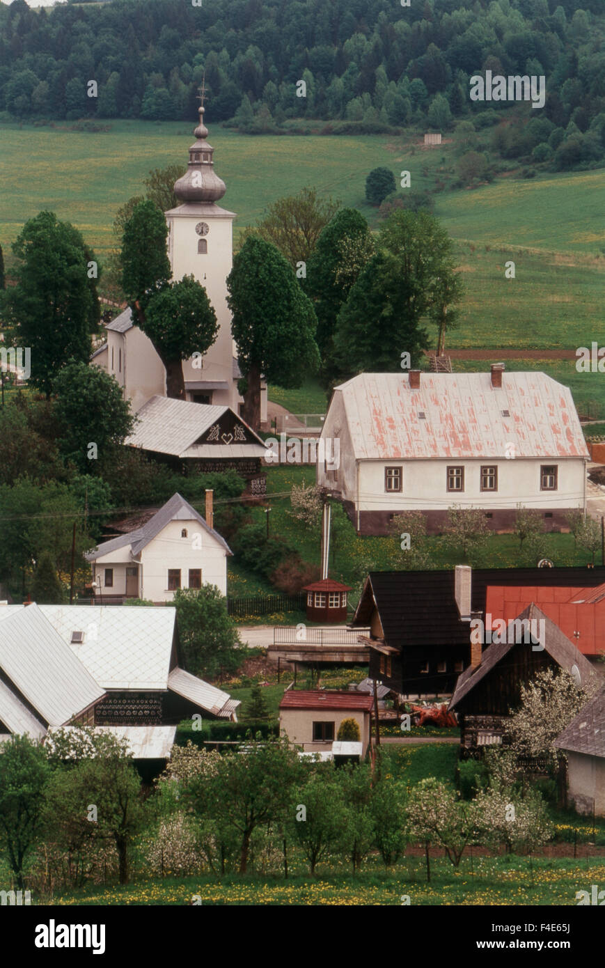 Slovakia, Cicmany. village with tree. (Large format sizes available ...