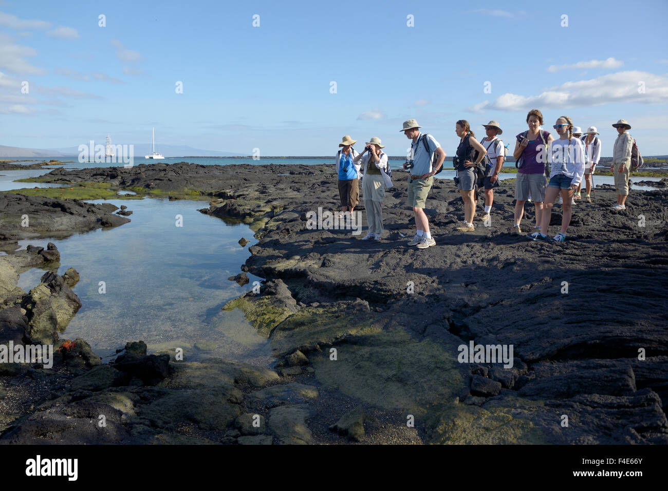 South America, Ecuador, Galapagos Islands, Fernandina Island. Viewing ...