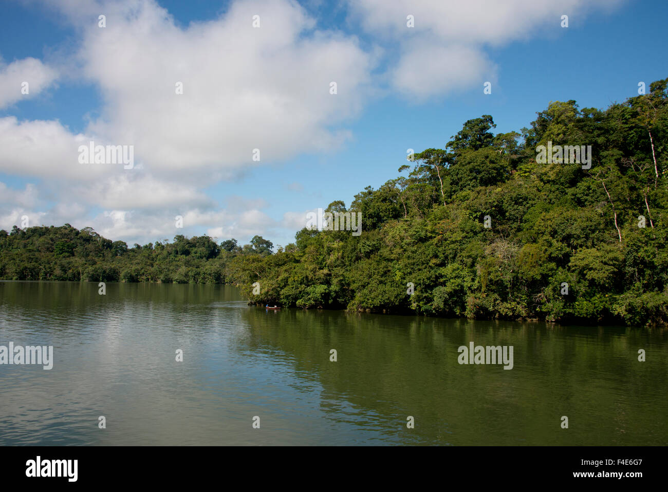 Guatemala, Izabal, near the town of Livingston, Rio Dulce River. Jungle ...