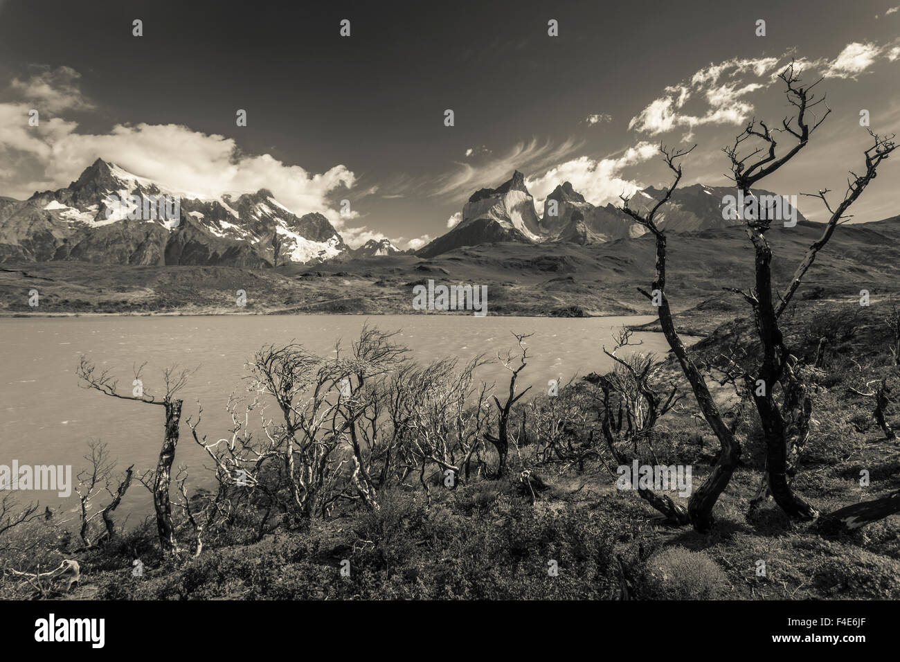 Chile, Magallanes Region, Torres del Paine National Park, Lago Pehoe ...