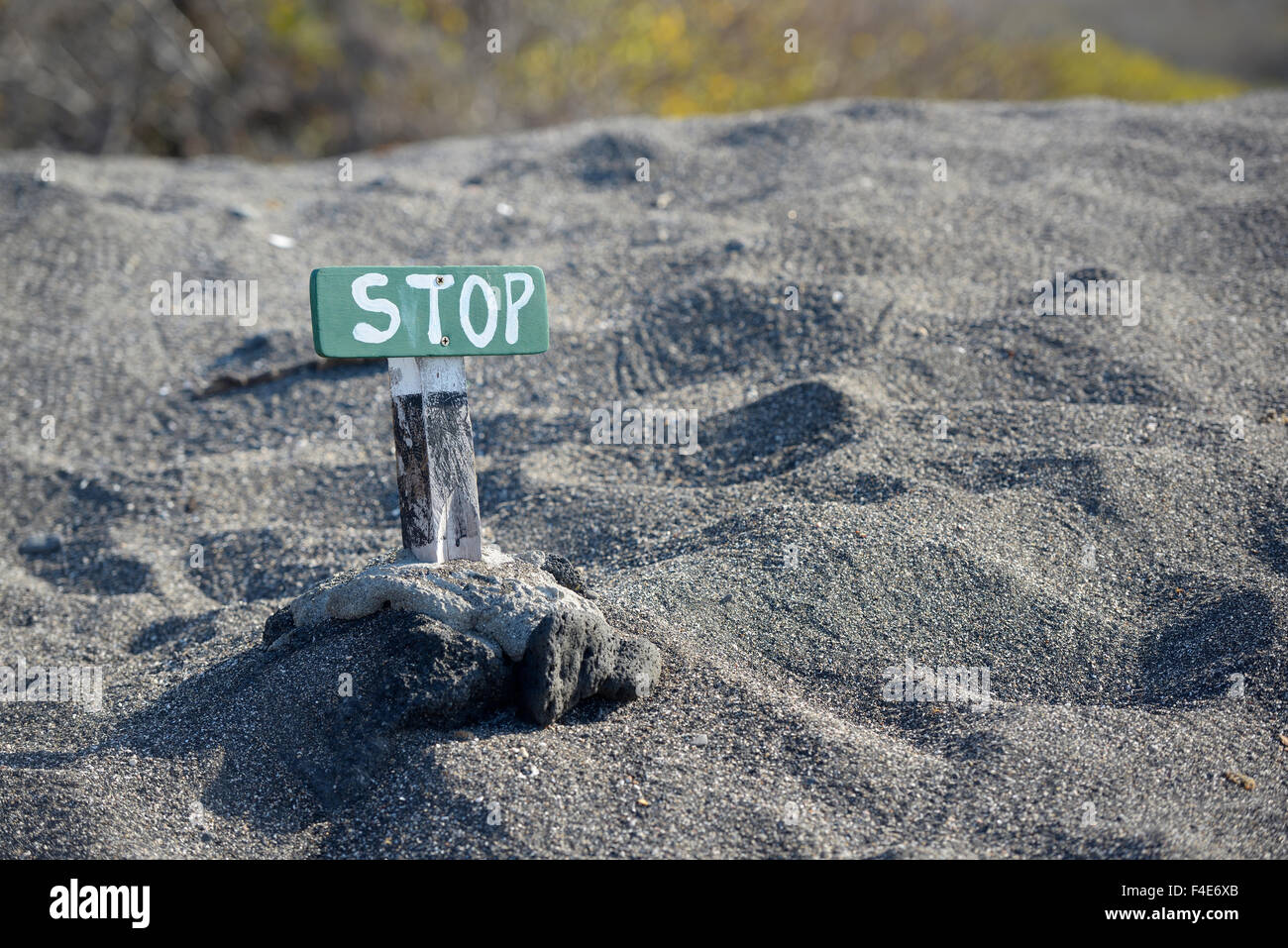South America, Ecuador, Galapagos Islands, Isabela Island. Sign to keep ...