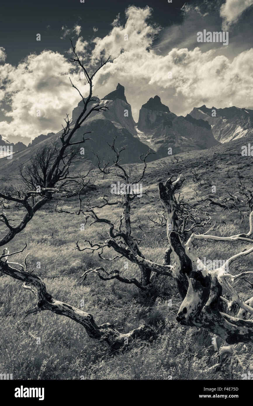 Chile, Magallanes Region, Torres del Paine National Park, Mirador ...