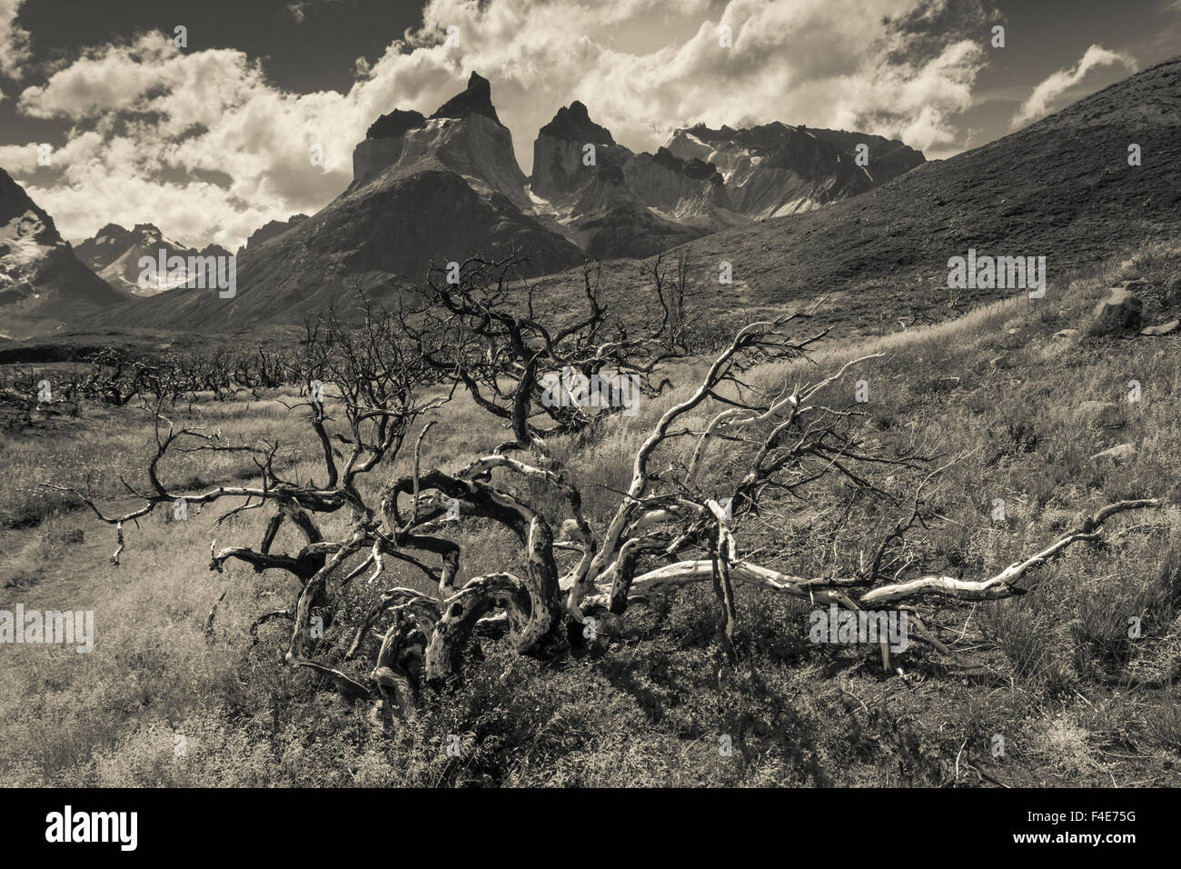 Chile, Magallanes Region, Torres del Paine National Park, Mirador ...