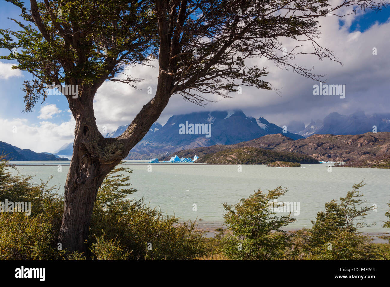 Chile, Magallanes Region, Torres del Paine National Park, Lago Grey ...