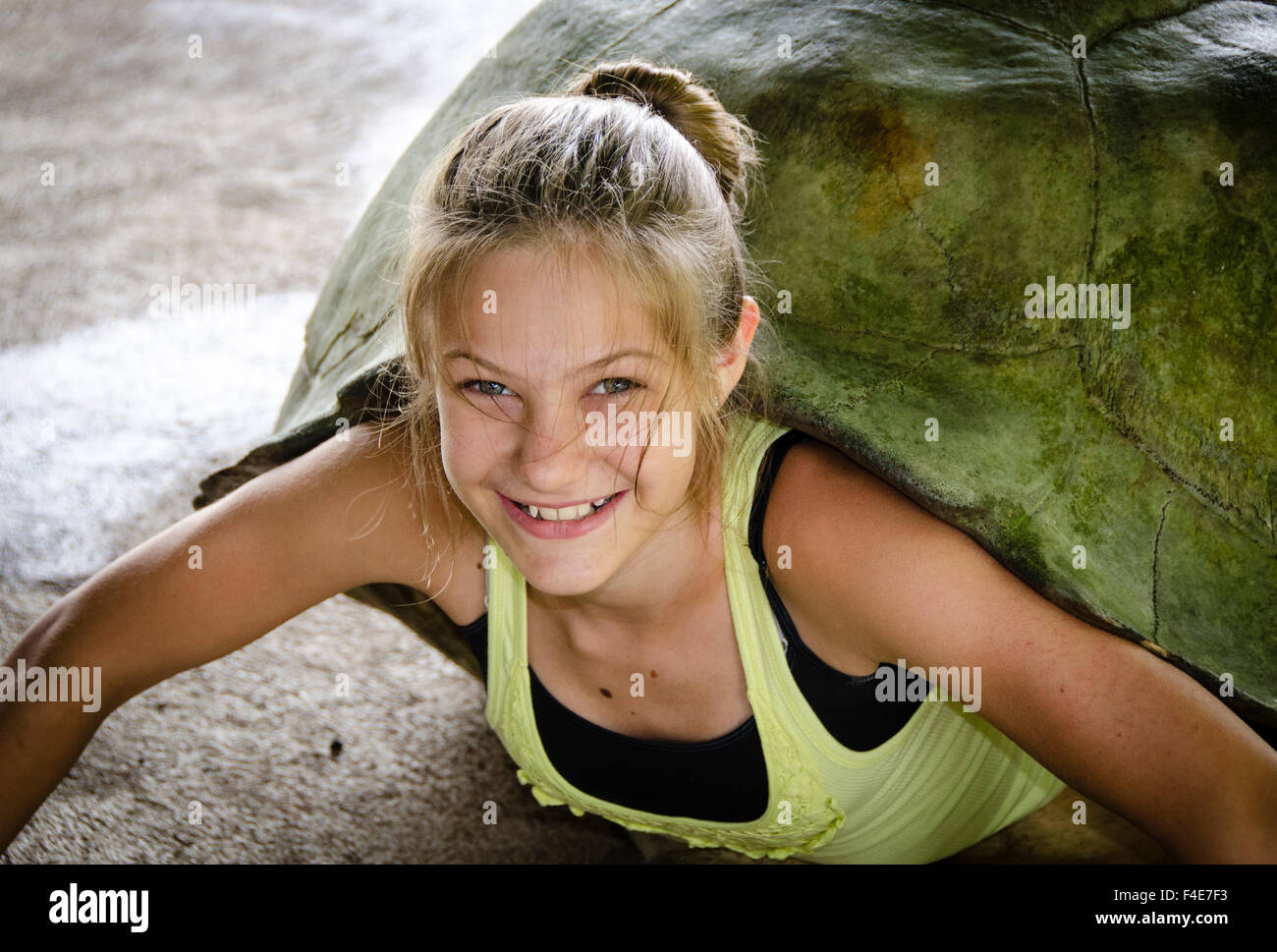 Galapagos Islands, Ecuador. Santa Cruz Island tortoise reserve. Pre ...
