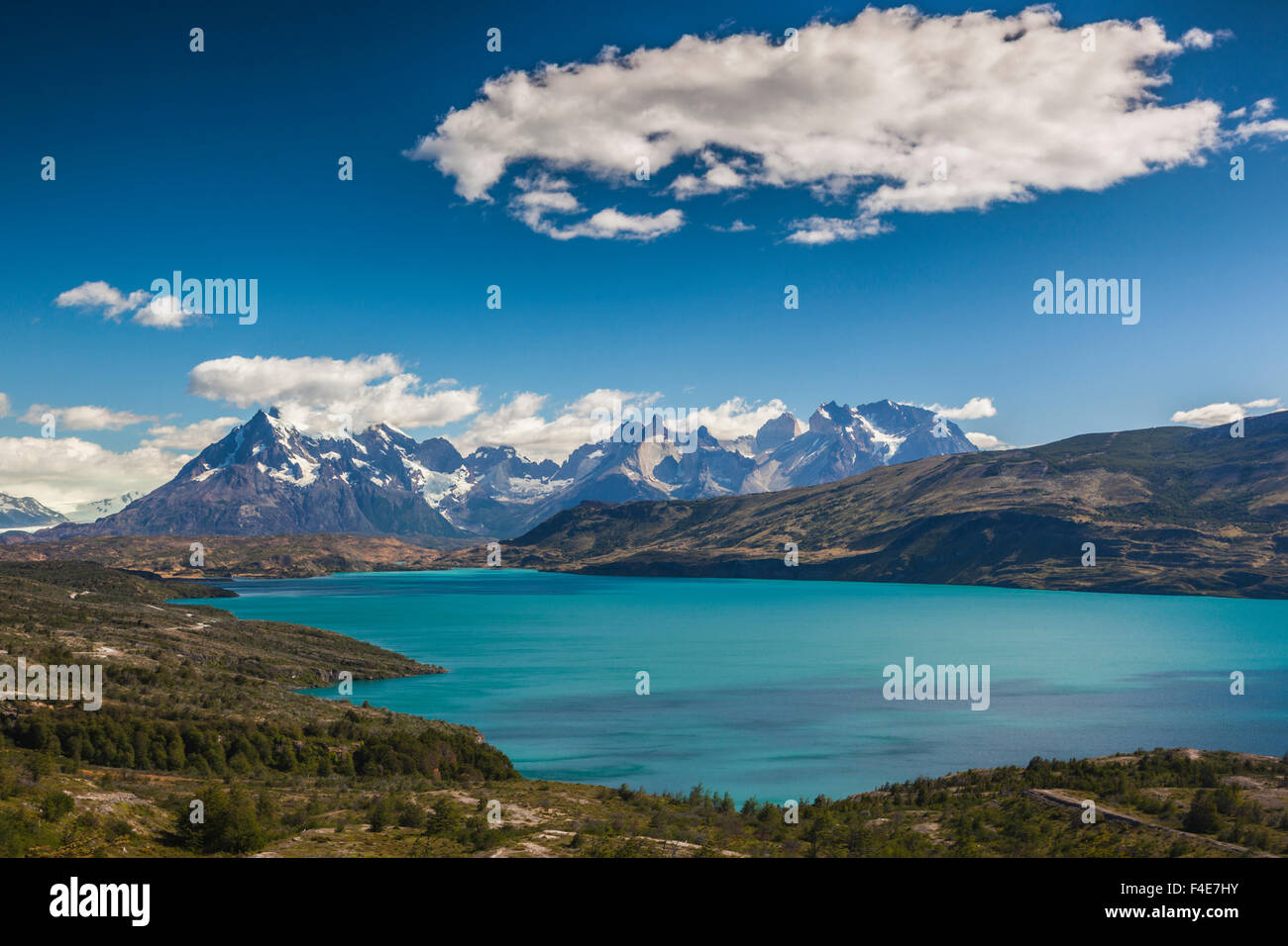 Chile, Magallanes Region, Torres del Paine National Park, Lago del Toro ...