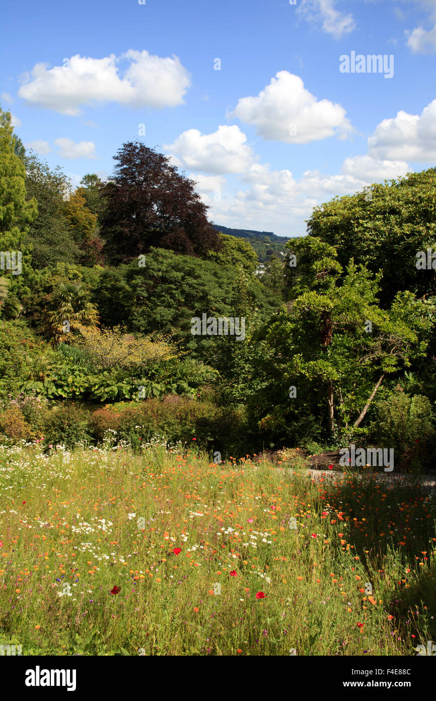 Cotehele, near Saltash, Cornwall, England, United Kingdom Stock Photo ...