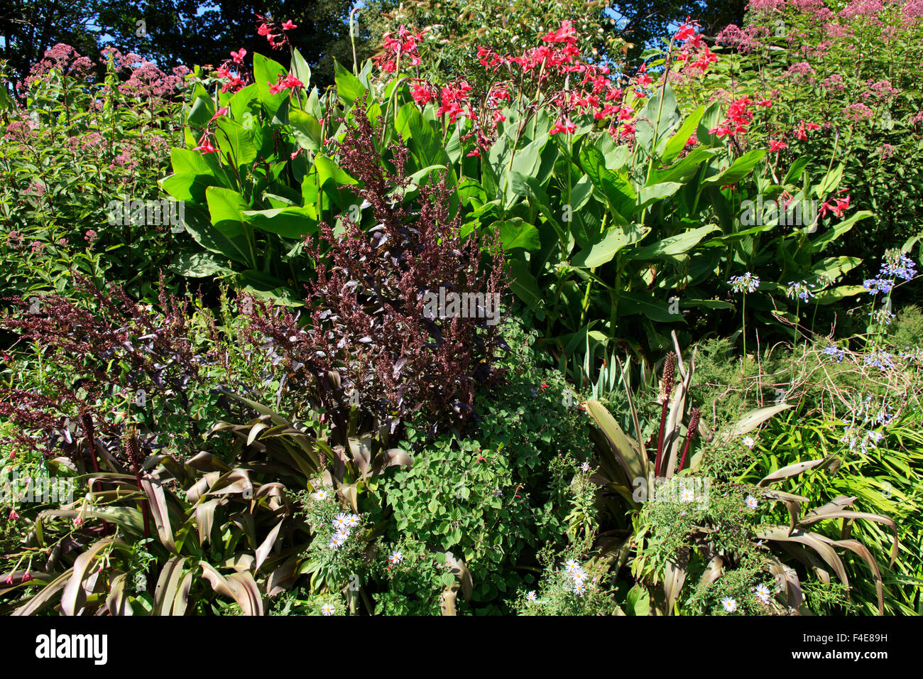 Cotehele, near Saltash, Cornwall, England, United Kingdom Stock Photo ...