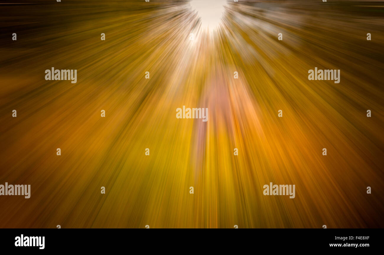 Soft autumn tone blured background or texture Stock Photo - Alamy