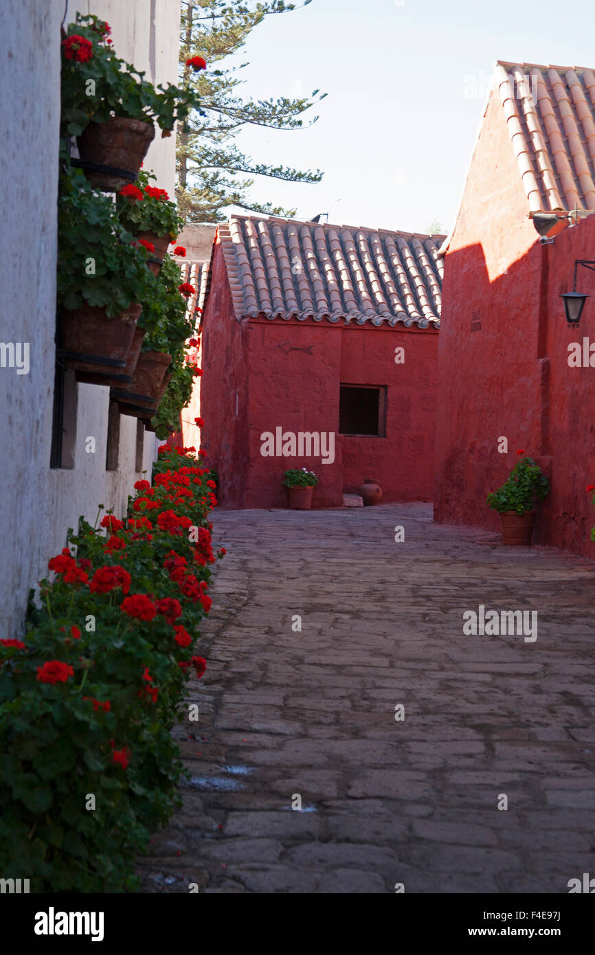 South America, Peru, Arequipa. Cordova Street of Monasterio de Santa ...