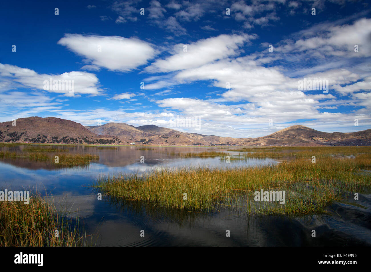 South America, Peru, Lake Titicaca. Scenery of Lake Titicaca near Puno ...