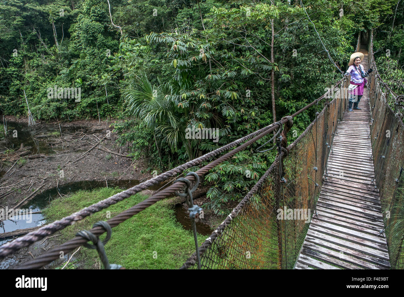 Hanging Bridge, Amazon basin, Peru (MR Stock Photo - Alamy