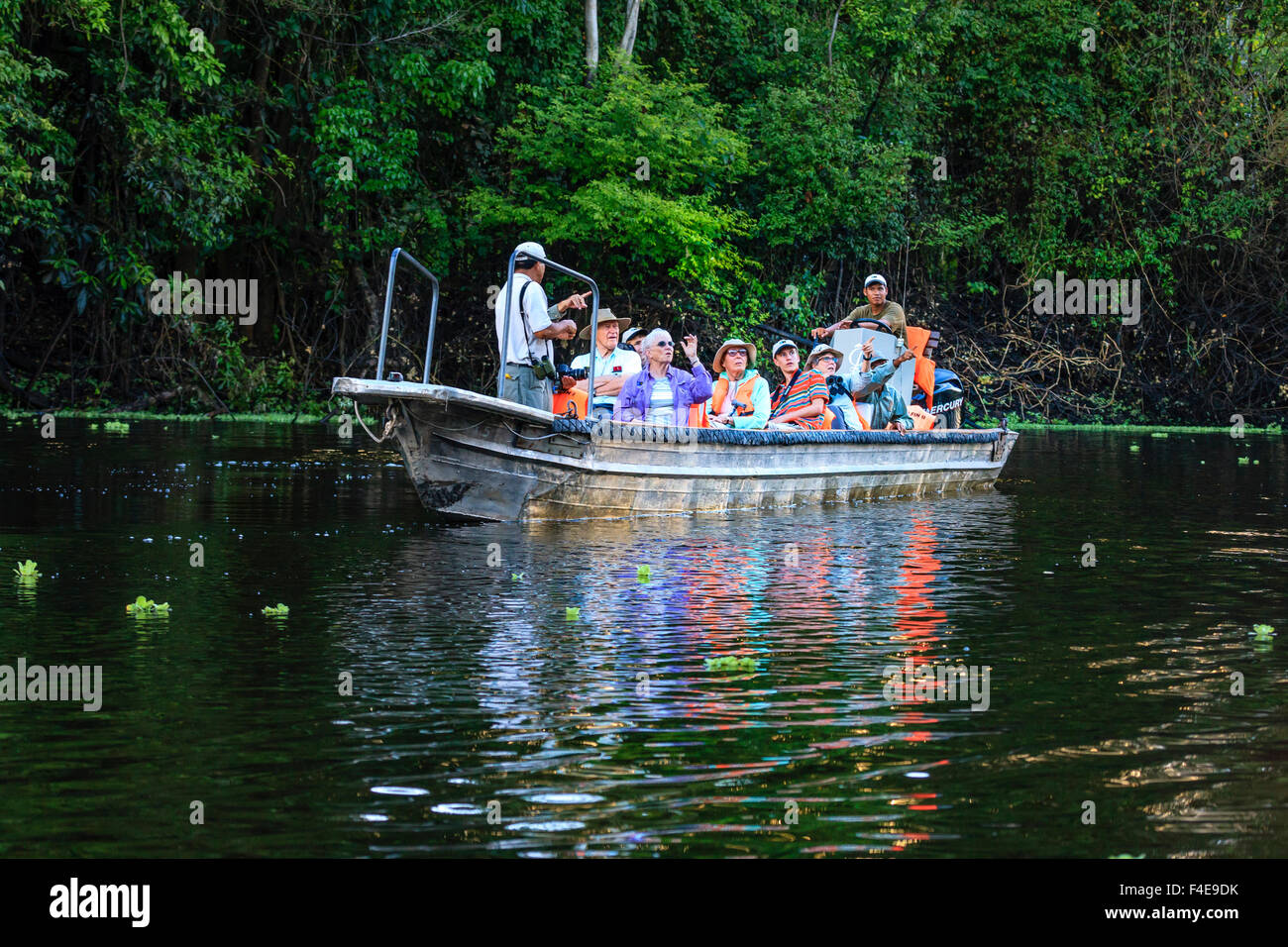 Tourists, Amazon basin, Peru Stock Photo - Alamy