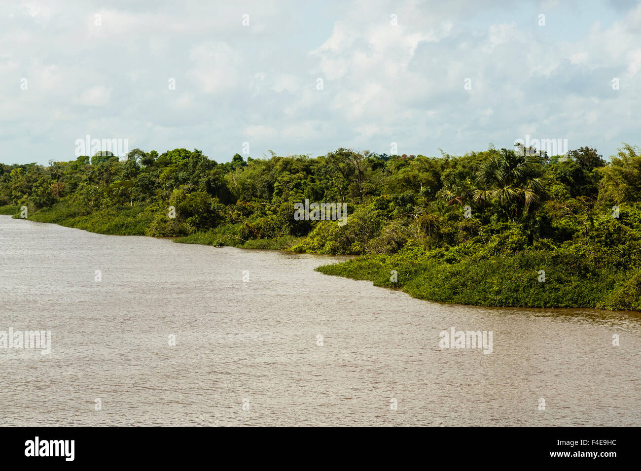 Orinoquia river hi-res stock photography and images - Alamy