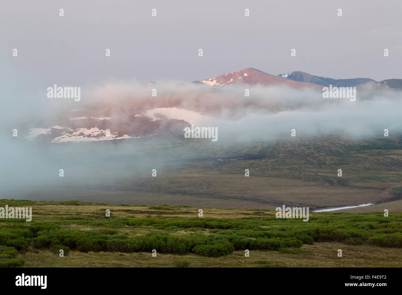 seward peninsula alaska animals