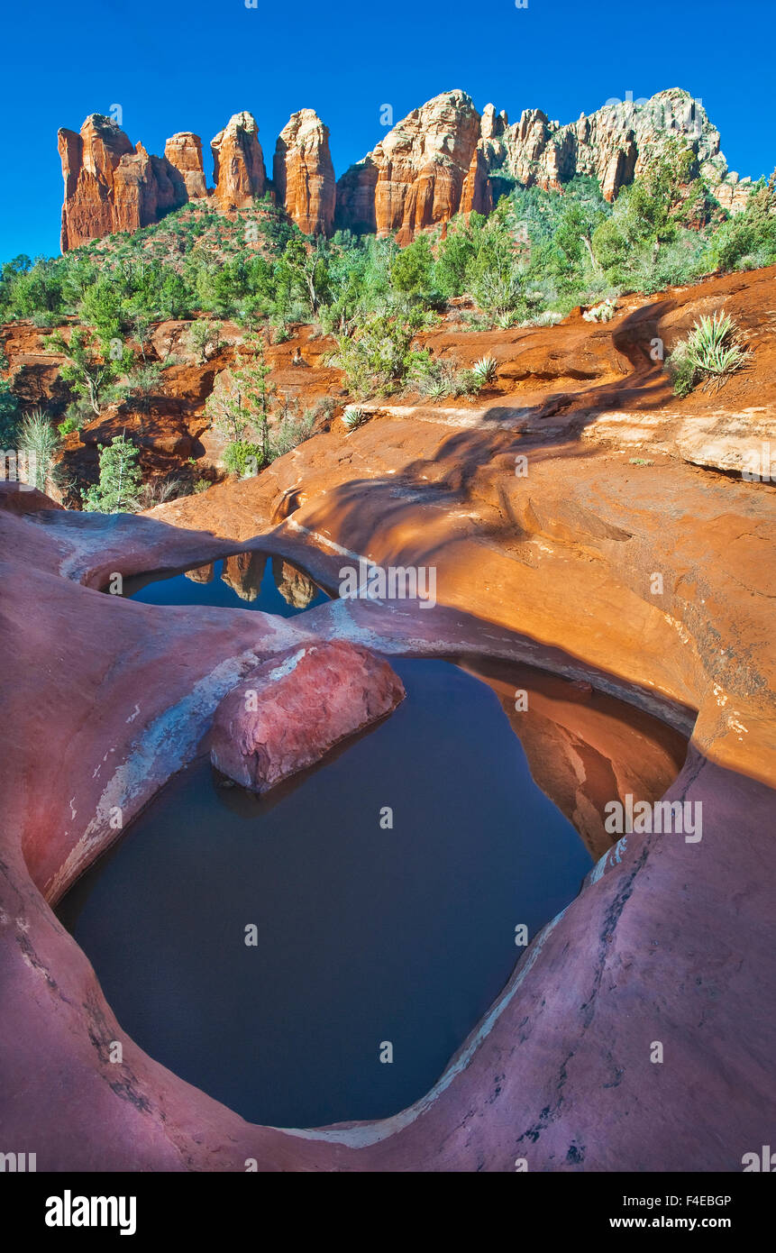 Nancy rotenberg hi-res stock photography and images - Alamy