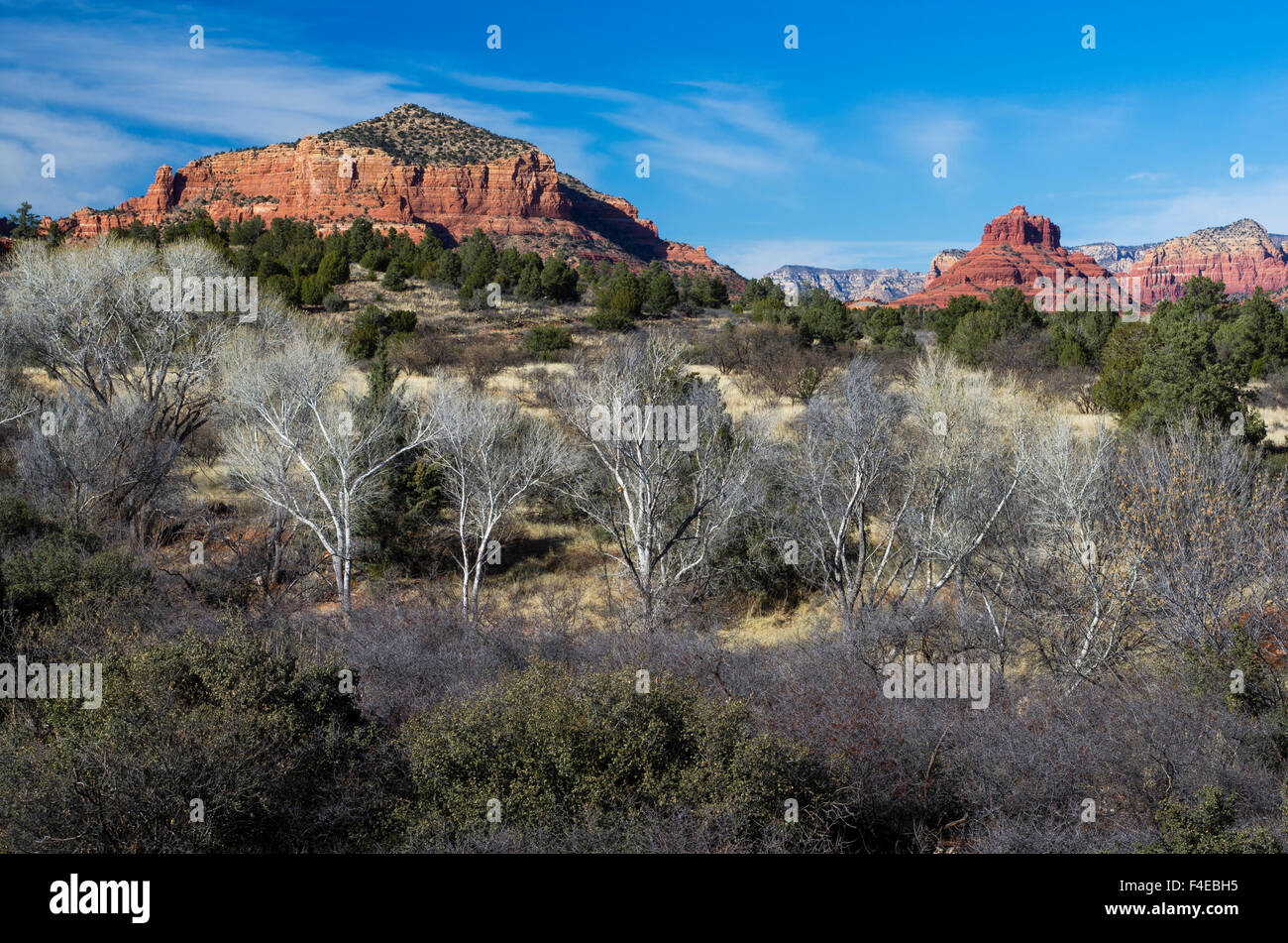 Red ranger hi-res stock photography and images - Alamy