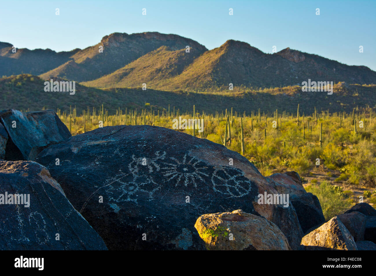 Petroglyphs, Signal Hill, Saguaro National Park, Arizona, USA Stock ...