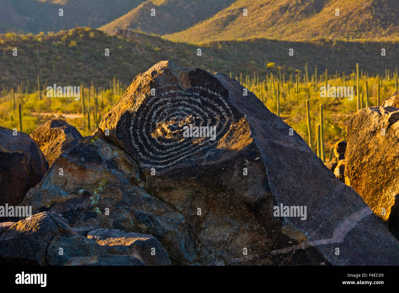 Petroglyphs, Signal Hill, Saguaro National Park, Arizona, USA Stock ...