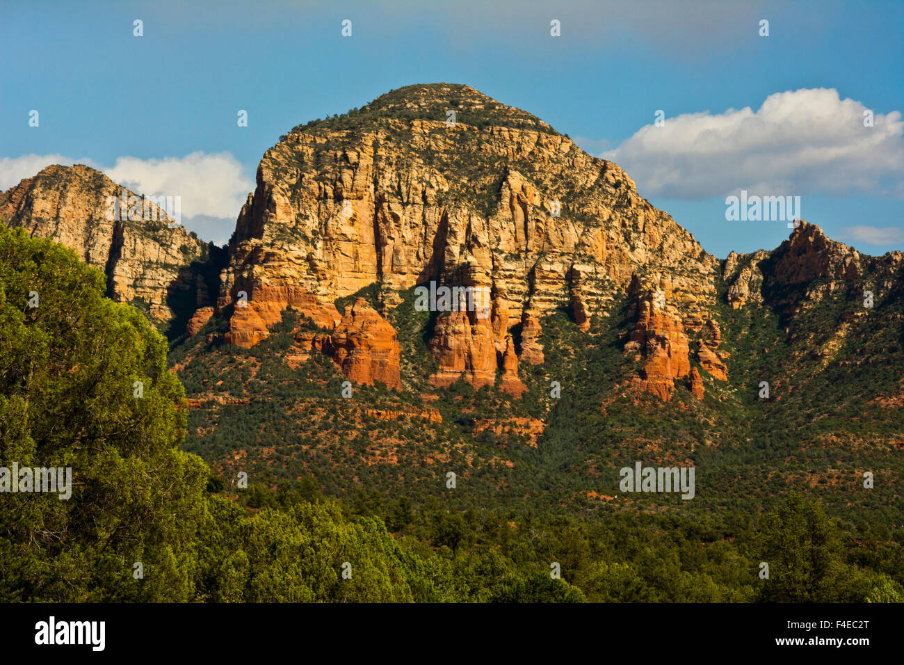 Red Rock Vista, Boynton Canyon, Sedona, Arizona, USA Stock Photo - Alamy