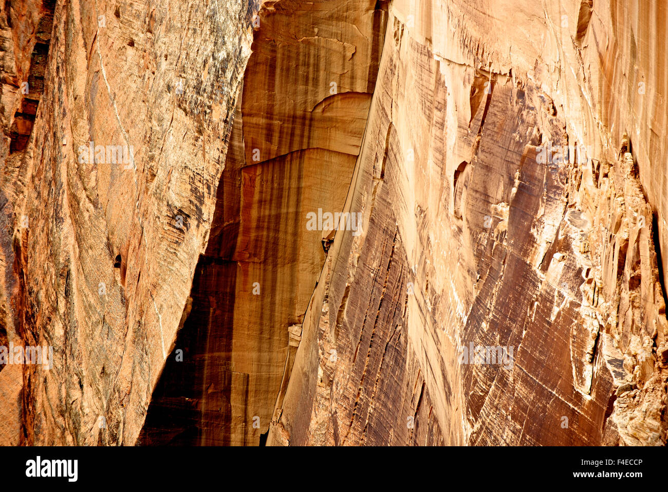 Canyon walls in Canyon de Chelly National Monument, Arizona (Large ...