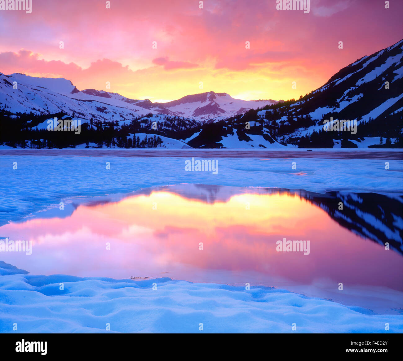USA, California, Ellery Lake at Sunset (Large format sizes available ...