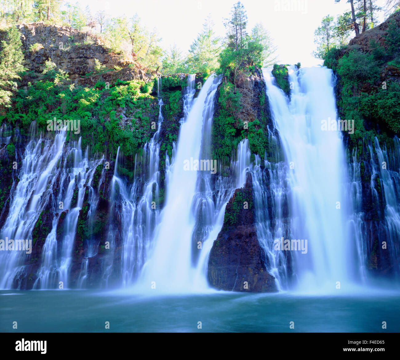 Frank burney hi-res stock photography and images - Alamy