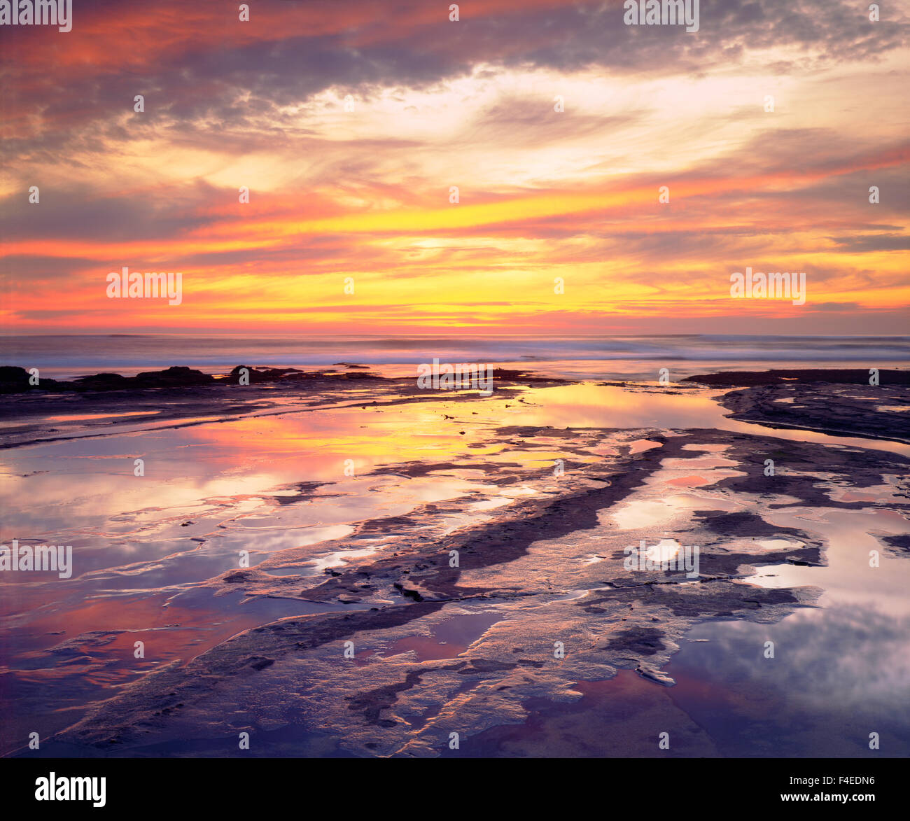 USA, California, San Diego, Sunset Cliffs tide pools on the Pacific ...