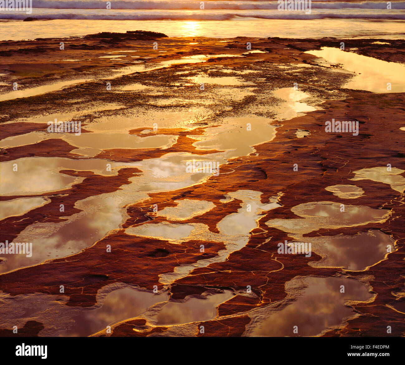 USA, California, San Diego. Sunset Cliffs Tide pools on the Pacific ...