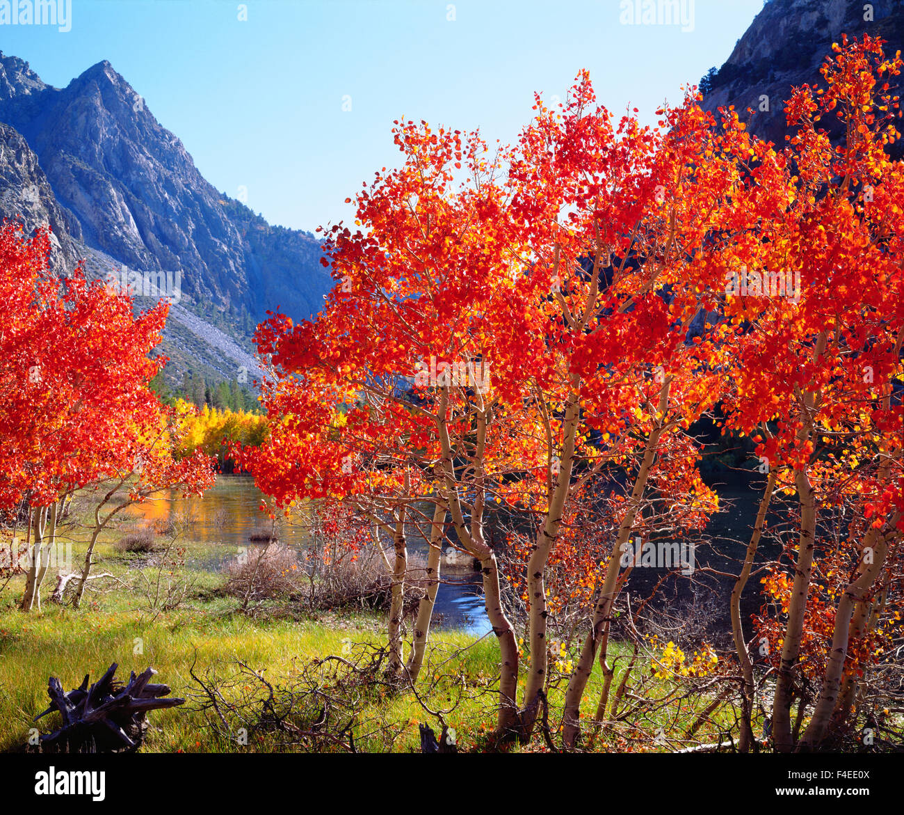 USA, California, Sierra Nevada Mountains. Autumn in the Sierras with ...