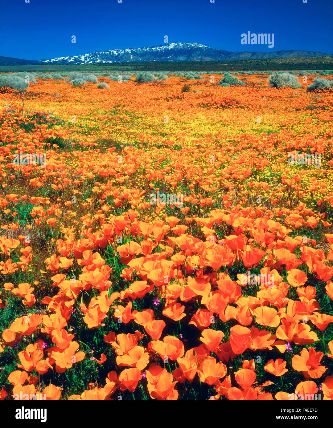 USA, California, Snow-covered Tehachapi Mountains and California ...