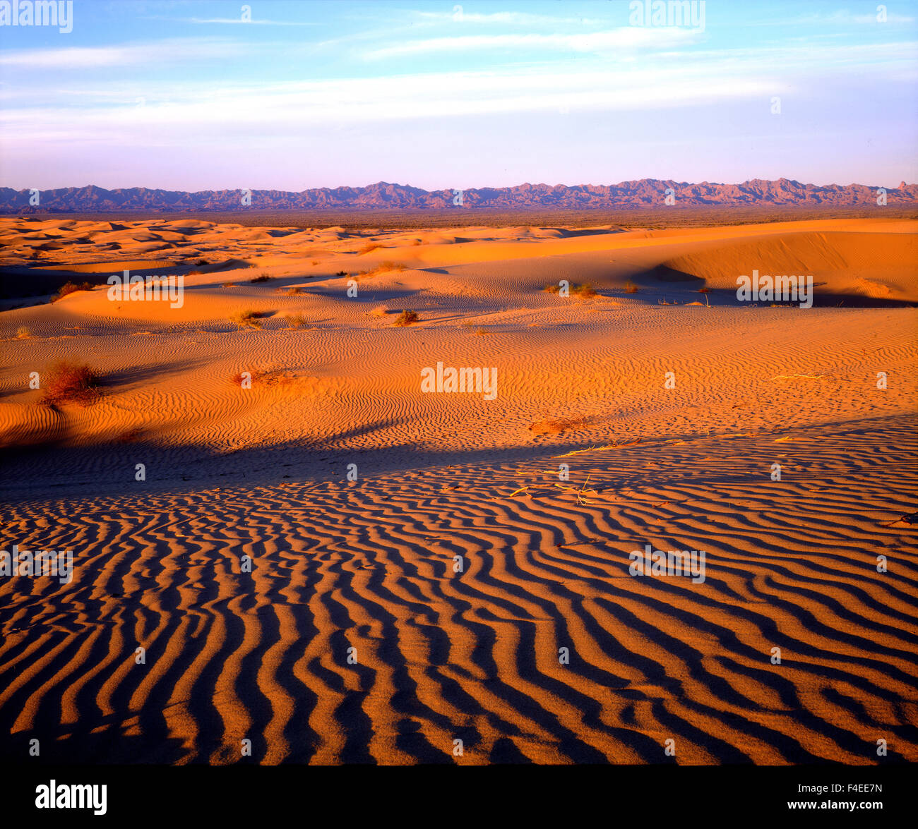 Sand dunes gallery hi-res stock photography and images - Alamy