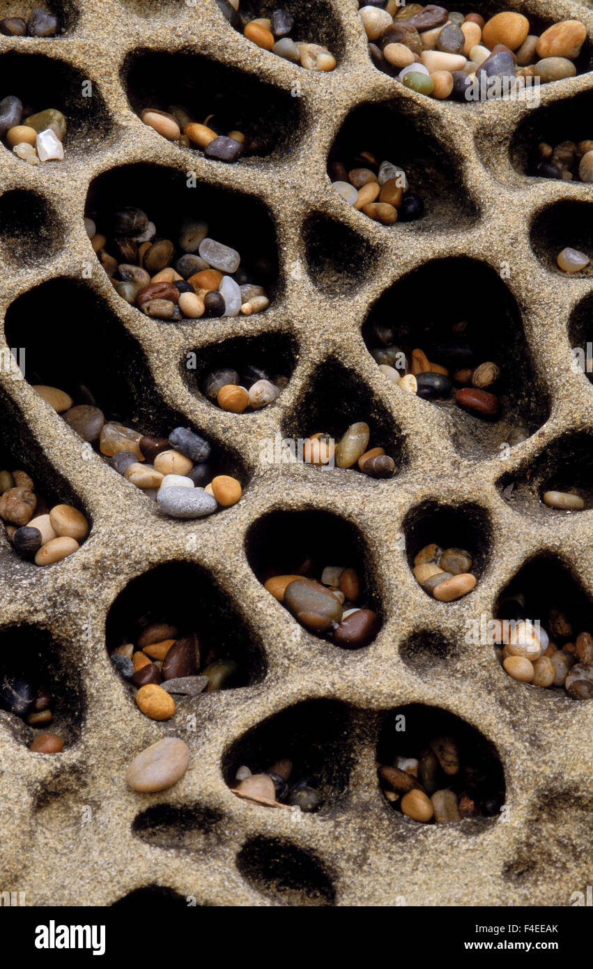 USA, California. Pebbles collected in rock cavities. Credit as: Marie ...